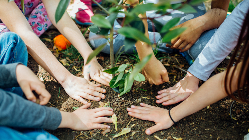 Earth Day Activities for Kids in Erie County: Fun and Educational Ways ...